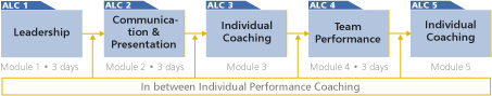 Advanced Leadership Coaching Program